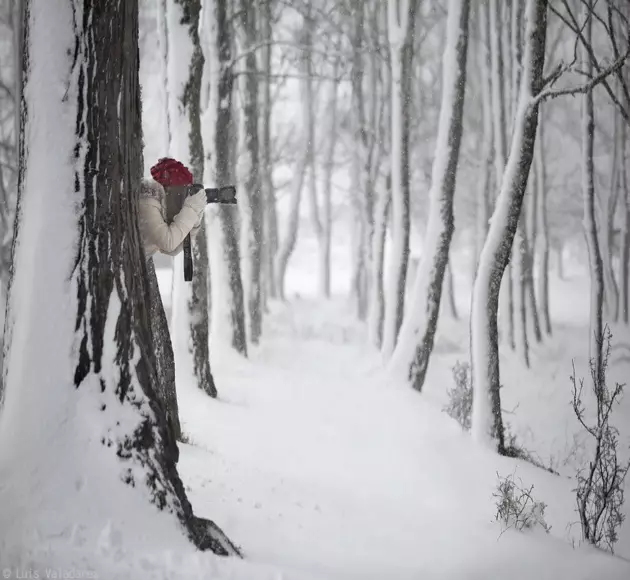 ਫੋਟੋਗ੍ਰਾਫਰ ਲੌਇਸ ਵਲਾਡਰੇਸ (Luis Valadares (Luis Valadares) ਲਈ ਫੋਟੋਗ੍ਰਾਫਰ 10017_10