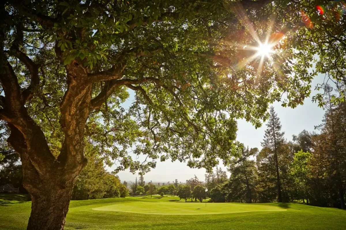 Slikovita ljepota golf igrališta iz R. Brada Knipstein 10035_17