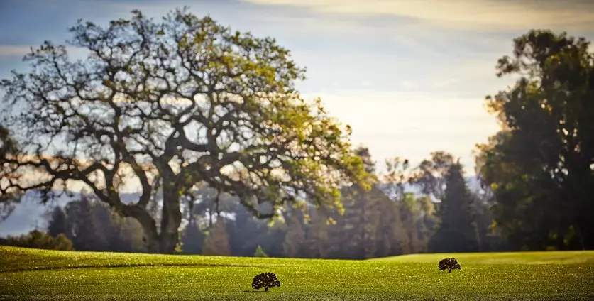 La belleza pintoresca de los campos de golf de R. Brad Knipstein 10035_19