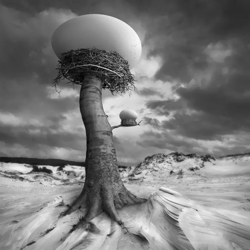 Ungewoane foto fan 'e manipulaasje fan Dariusha Klimchak (Dariusz Klimczak) 10133_16