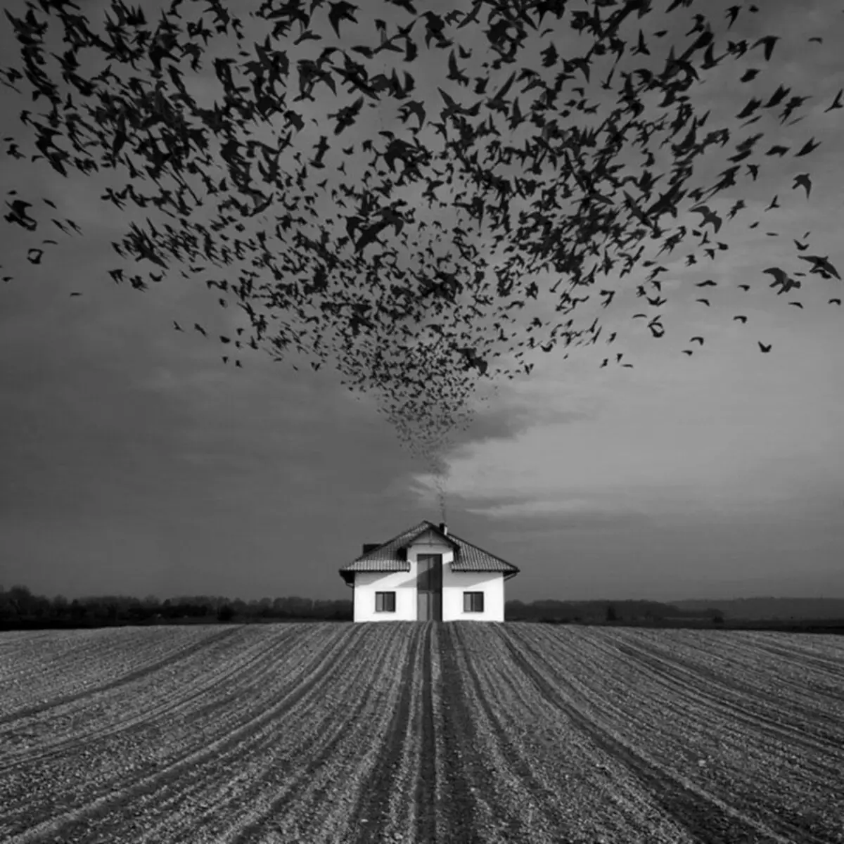 Chithunzi chachilendo cha kukomoka kwa Darlica Khemichak (Dariusz Klimczak) 10133_17