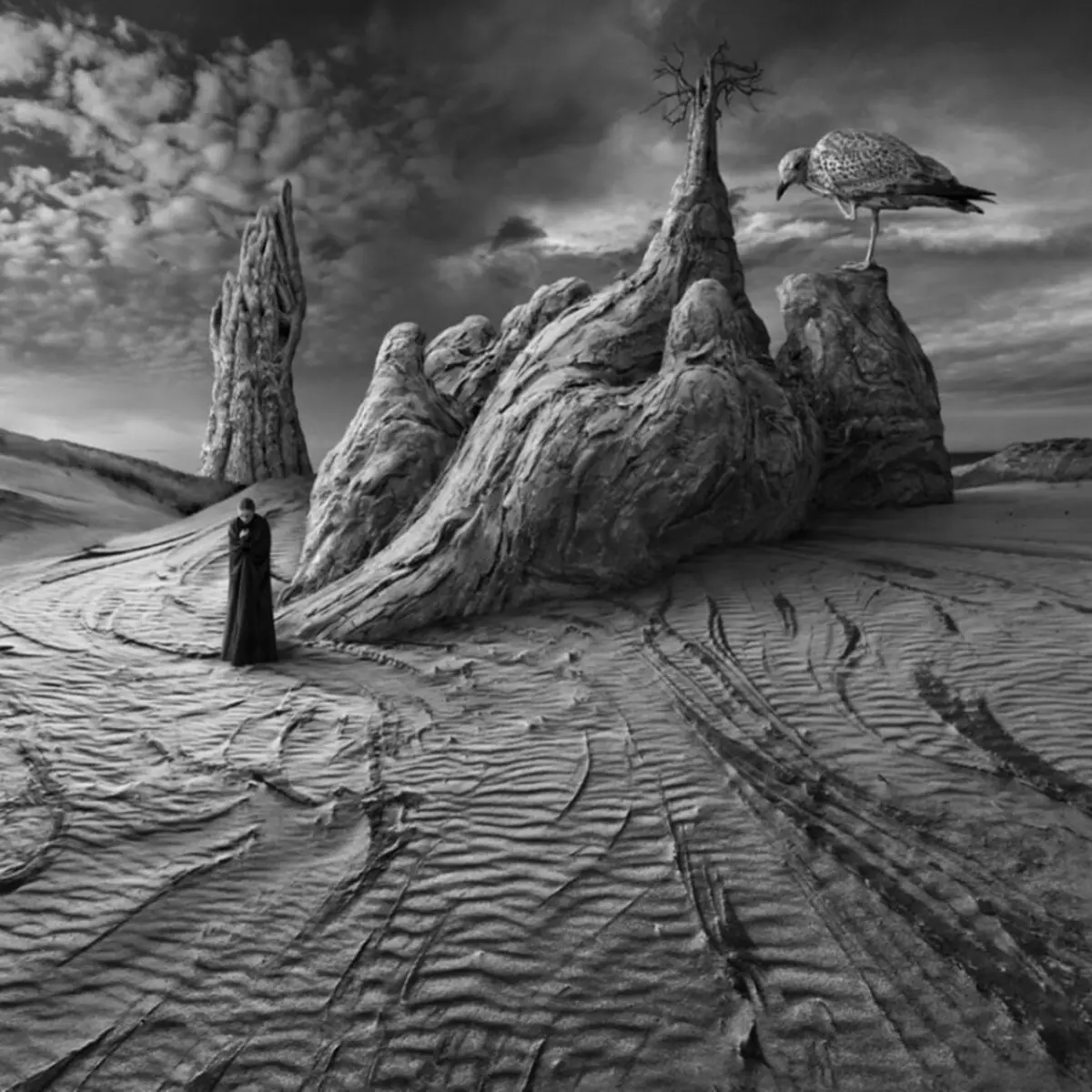 Chithunzi chachilendo cha kukomoka kwa Darlica Khemichak (Dariusz Klimczak) 10133_4