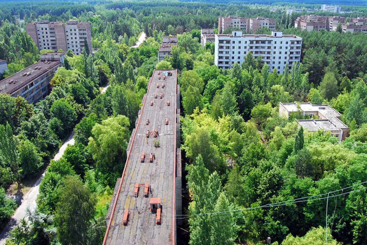 Сіла прыроды: як бы выглядаў свет без людзей