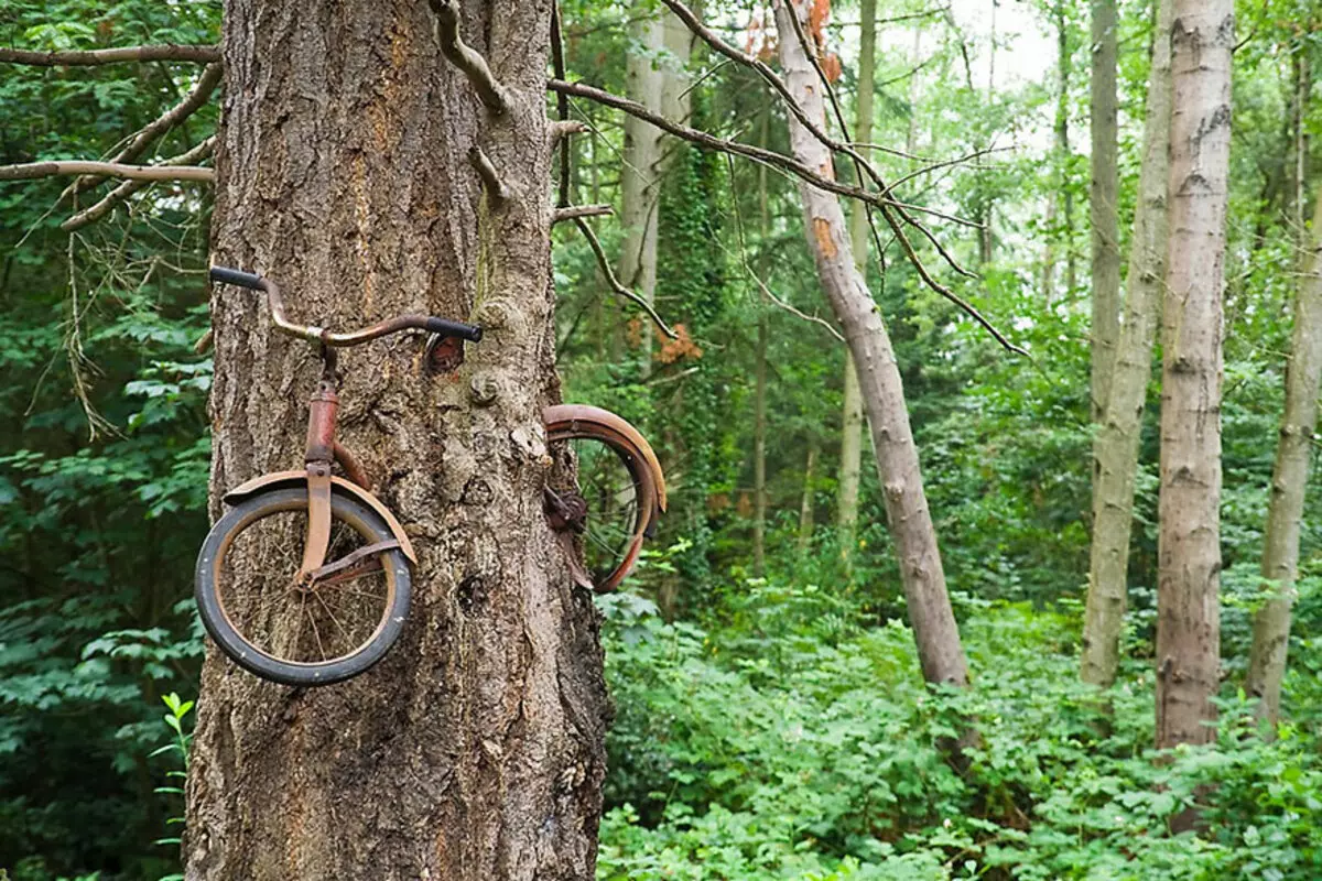 Kraaft vun der Natur: Wéi géif d'Welt ouni Leit ausgesinn