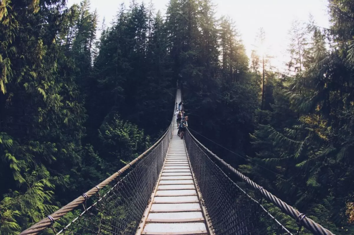 Landas sa puso ng kagubatan ... suspensyon tulay Lynn Canyon sa lenses;) 10214_3