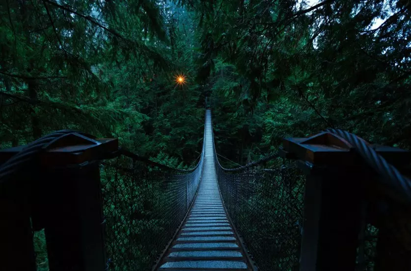 Path nan kè a nan forè a ... sispansyon pon Lynn Canyon nan lantiy;) 10214_4