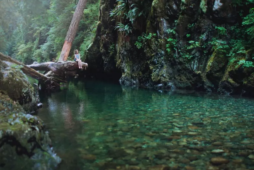 Jalan di jantung hutan ... jembatan suspensi Lynn Canyon dalam lensa;) 10214_9