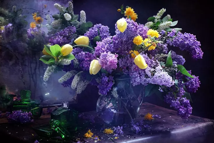 خلق و خوی Lilac؛) مجموعه ای از زندگی هنوز هم 10254_1