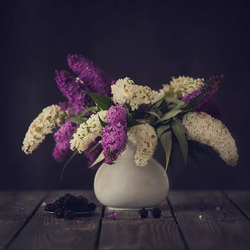 خلق و خوی Lilac؛) مجموعه ای از زندگی هنوز هم 10254_10