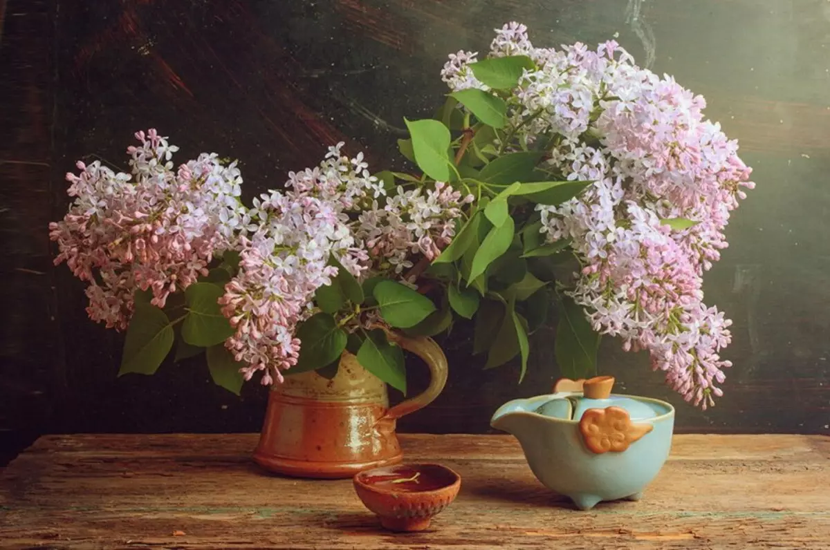 خلق و خوی Lilac؛) مجموعه ای از زندگی هنوز هم 10254_2