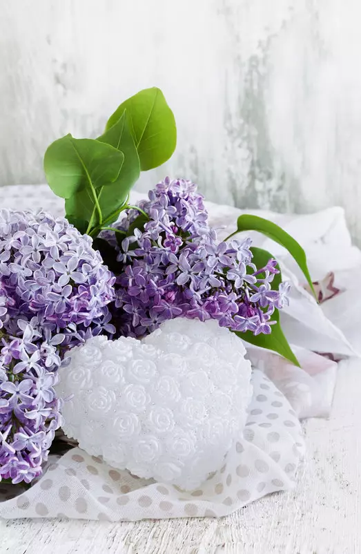 خلق و خوی Lilac؛) مجموعه ای از زندگی هنوز هم 10254_5