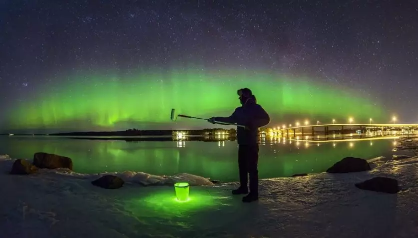 Purplies Green ... Photographer Joran Strange (Göran Strand) 10266_12