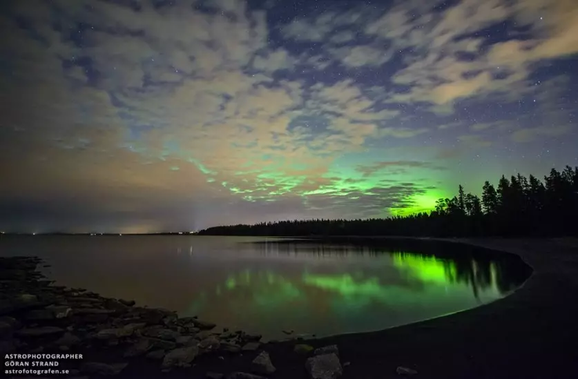 Purplies Green ... Photographer Joran Strange (Göran Strand) 10266_13