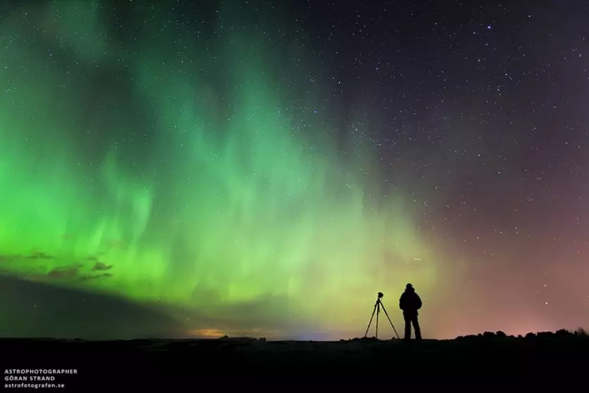 Purplies Green ... Φωτογράφος Joran Strange (Göran Strand) 10266_14