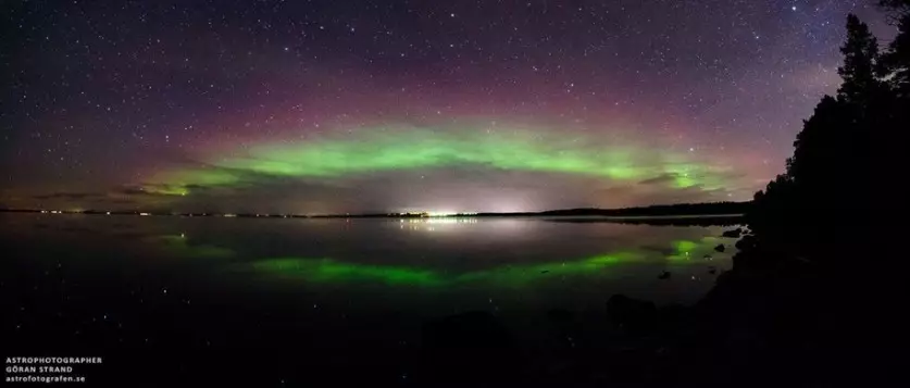 Purplies Green ... Photographer Joran Strange (Göran Strand) 10266_15