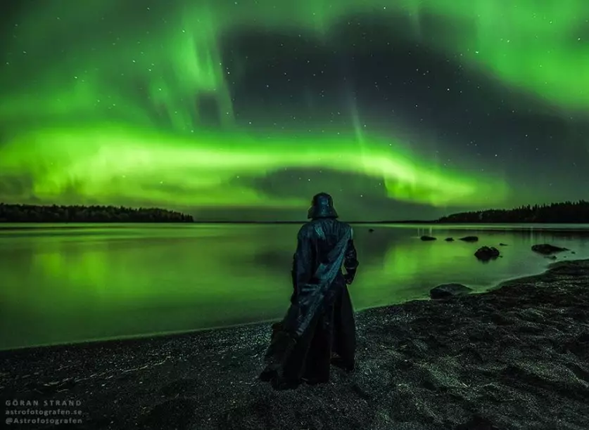 Purplies Green ... Photographer Joran Strange (Göran Strand) 10266_2