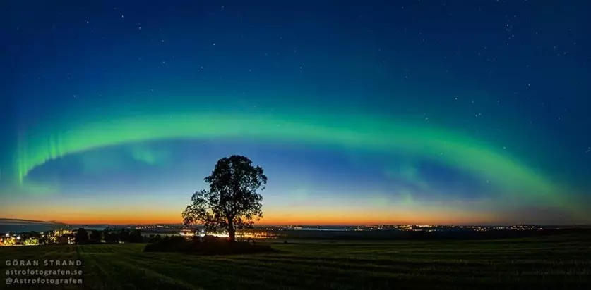 Purplies Green ... Photographer Joran Strange (Göran Strand) 10266_6