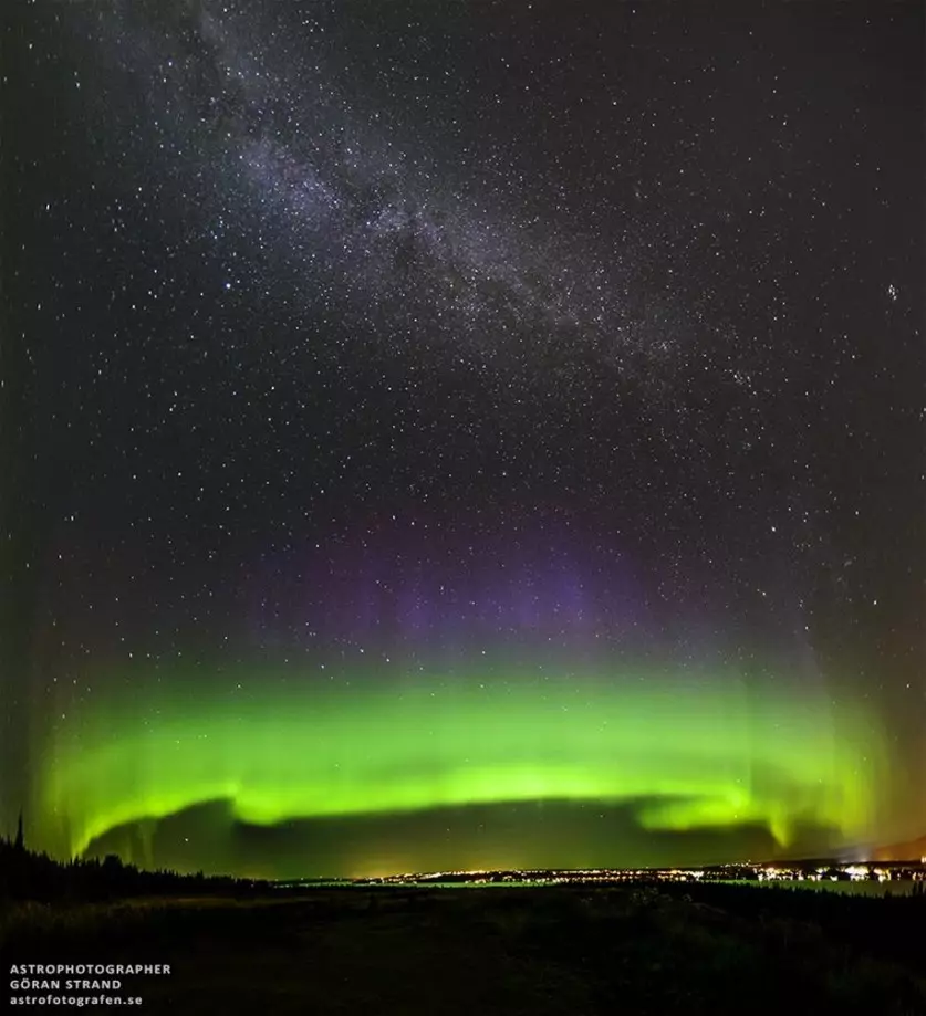 Purplies Green ... Photographer Joran Strange (Göran Strand) 10266_9