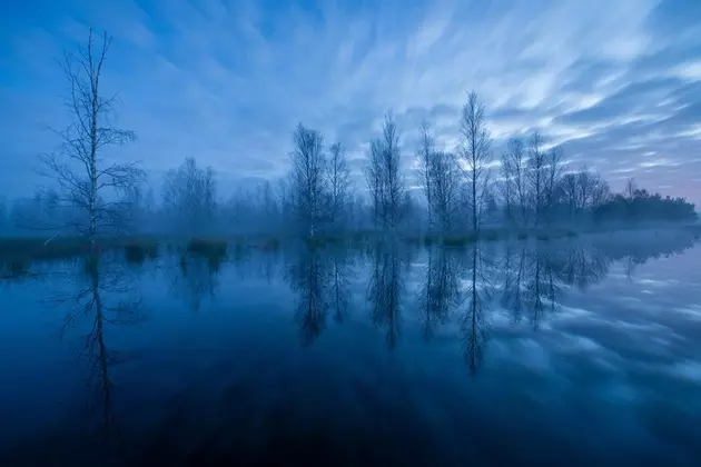 Gagnants du photographe Europan Nature Concours de l'année 2016 10274_9