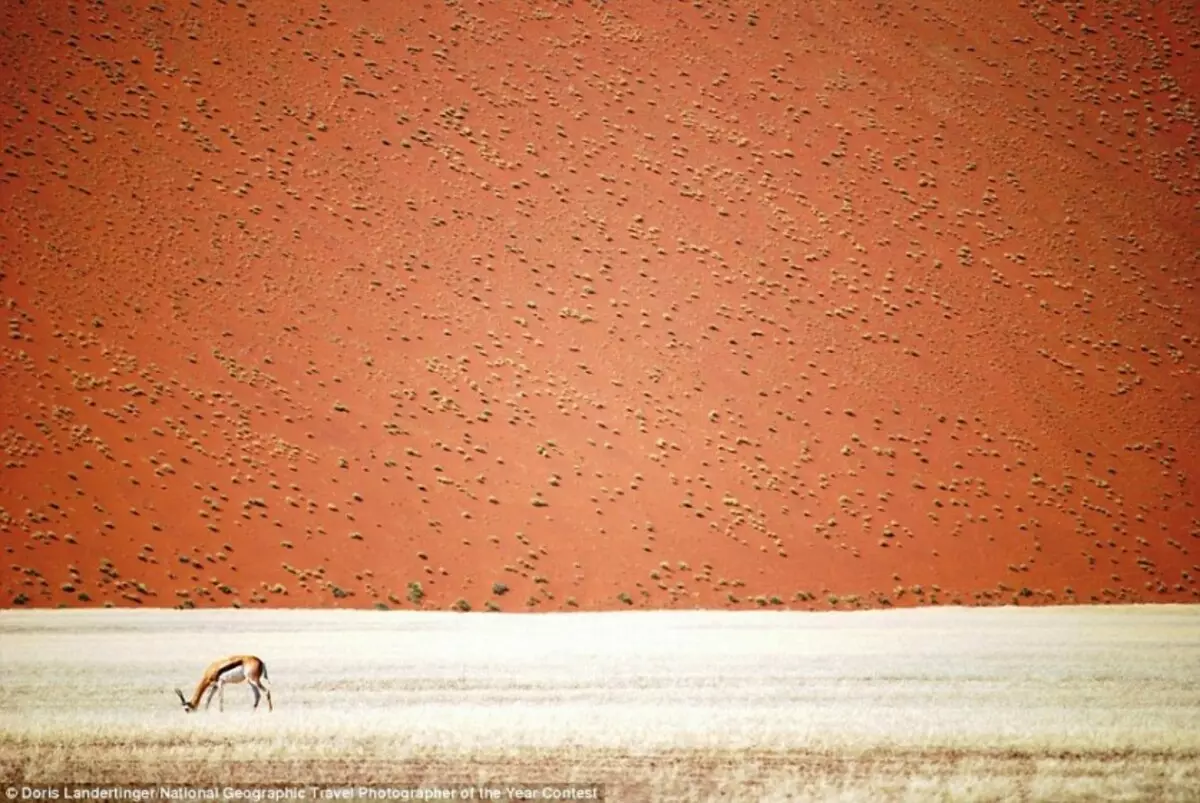 National Geographic Travel Photographer of the Year Contest 2016 у самым разгары 10286_11