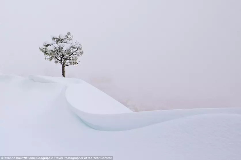 Årets nationella geografisk resa fotograferar 2016 i full gång 10286_9