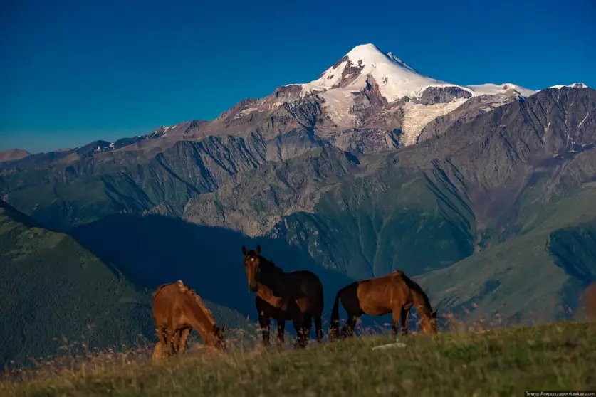 ພູມສັນຖານຂອງ Ingushetia, ຫ້ອງຮັບປະທານອາຫານພູດອຍ. ຮູບພາບຂອງ Timur Agirova 10305_4