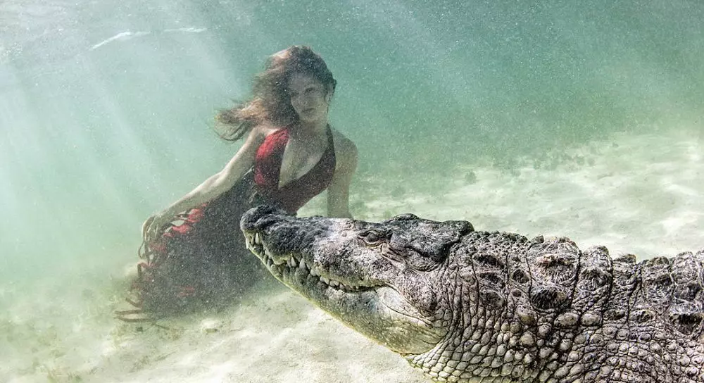 Bir fotoğrafta kadın güzelliği ve doğa tehlikesi: Bir timsah ile su altında