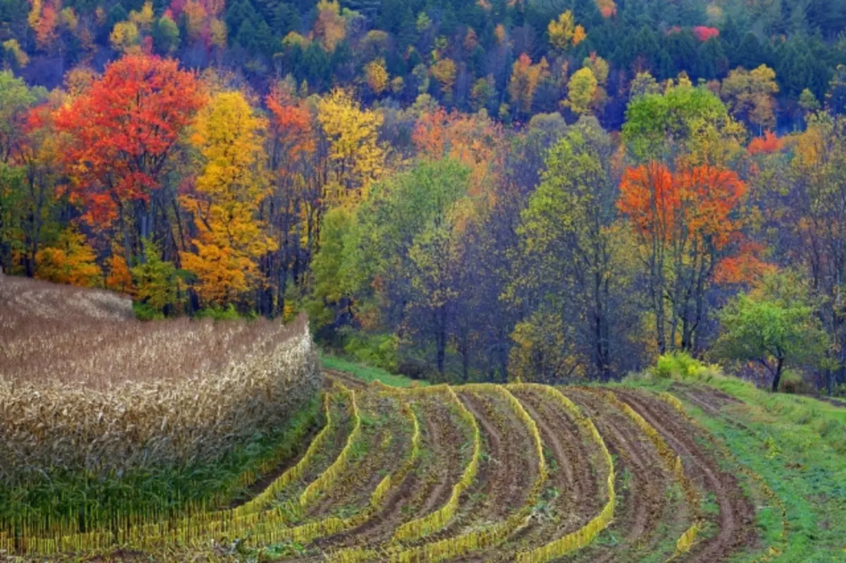 Argazki paisaia harrigarriak Kevin McNeal 10390_12