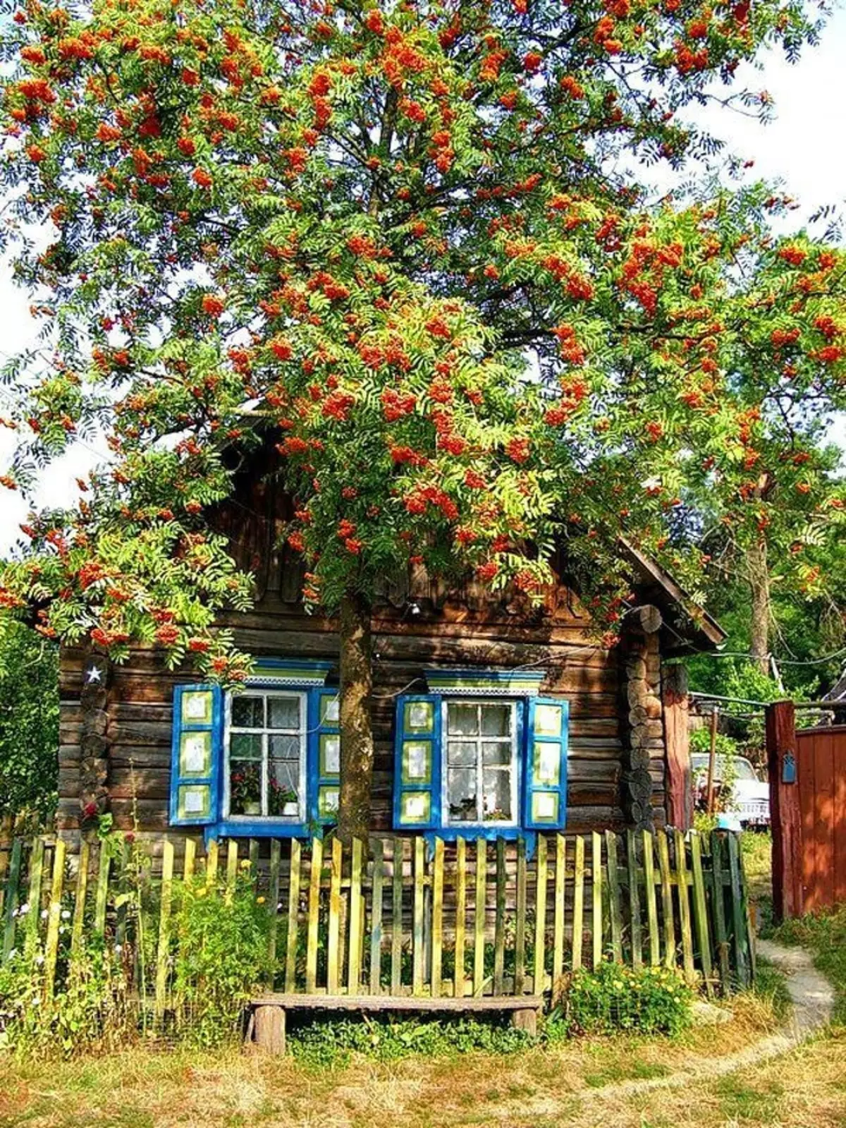 станоўчыя эмоцыі Фотаздымак фатограф малако цяпло ўспаміны ўтульнасць эмоцыі