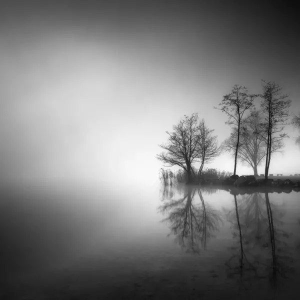 Heshtja në fotot e zezë dhe të bardhë të Pierre Pellegrini (Pierre Pellegrini) 10428_10