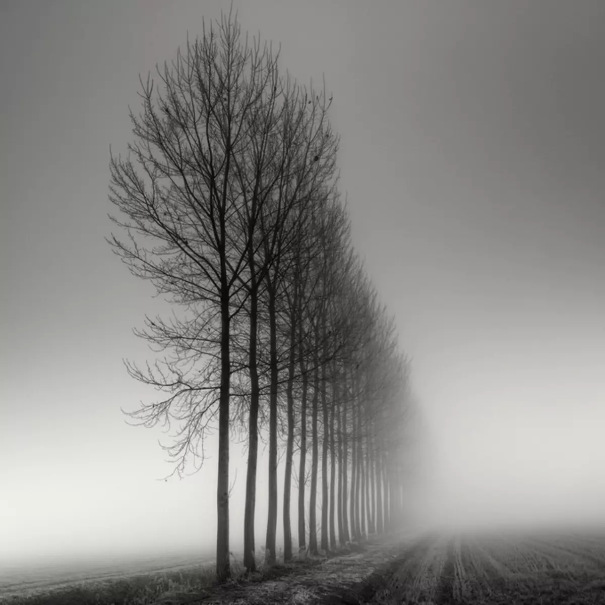 Cisza w czarno-białych zdjęć Pierre Pellegrini (Pierre Pellegrini) 10428_14