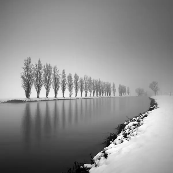 Aamusnaanta sawirrada madow iyo caddaanka ee Pierre Pellegrini (Pierre Pellegrini) 10428_2