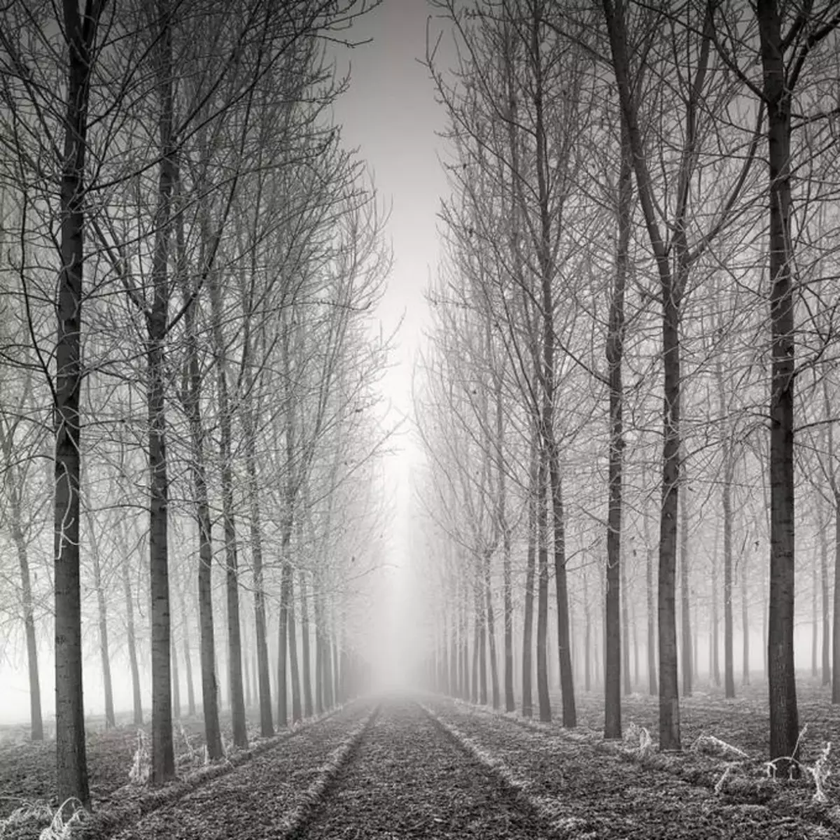 Cisza w czarno-białych zdjęć Pierre Pellegrini (Pierre Pellegrini) 10428_20