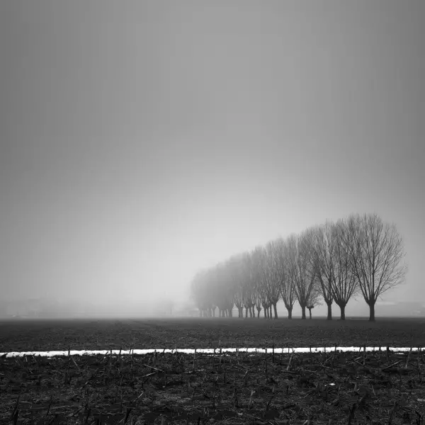 Heshtja në fotot e zezë dhe të bardhë të Pierre Pellegrini (Pierre Pellegrini) 10428_4