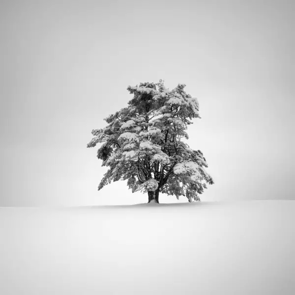 Heshtja në fotot e zezë dhe të bardhë të Pierre Pellegrini (Pierre Pellegrini) 10428_6