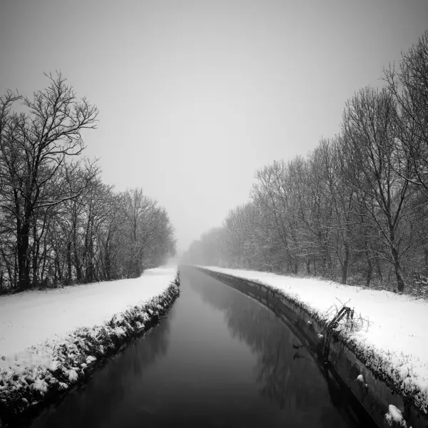 Heshtja në fotot e zezë dhe të bardhë të Pierre Pellegrini (Pierre Pellegrini) 10428_7