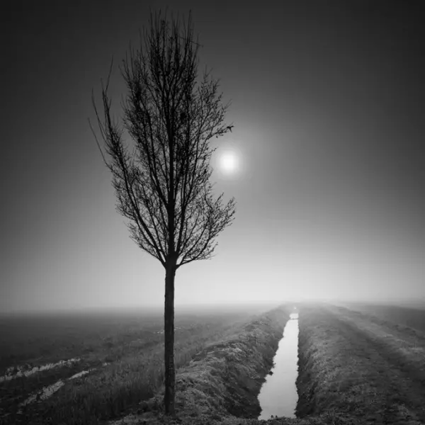 Heshtja në fotot e zezë dhe të bardhë të Pierre Pellegrini (Pierre Pellegrini) 10428_8