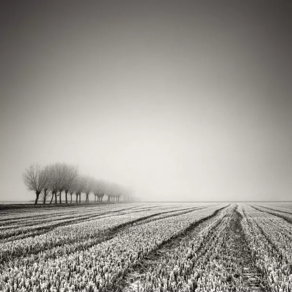 Aamusnaanta sawirrada madow iyo caddaanka ee Pierre Pellegrini (Pierre Pellegrini) 10428_9