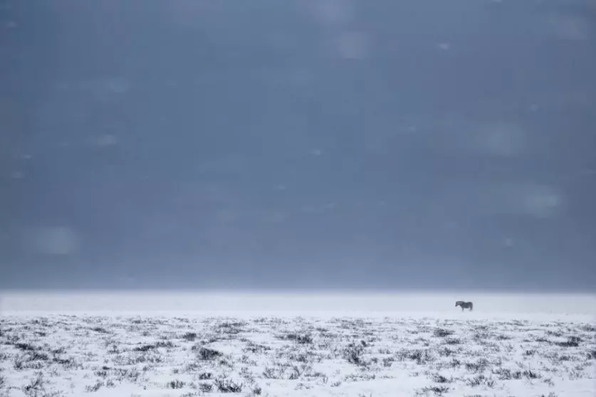 Christopher Jacrot (Christophe Jacrot)에서 아이슬란드의 최소한의 풍경 10567_6