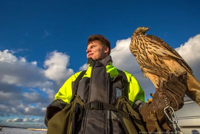 Dịch vụ ornithological Domodedovo. Hình ảnh của Marina Lytseva 10723_11