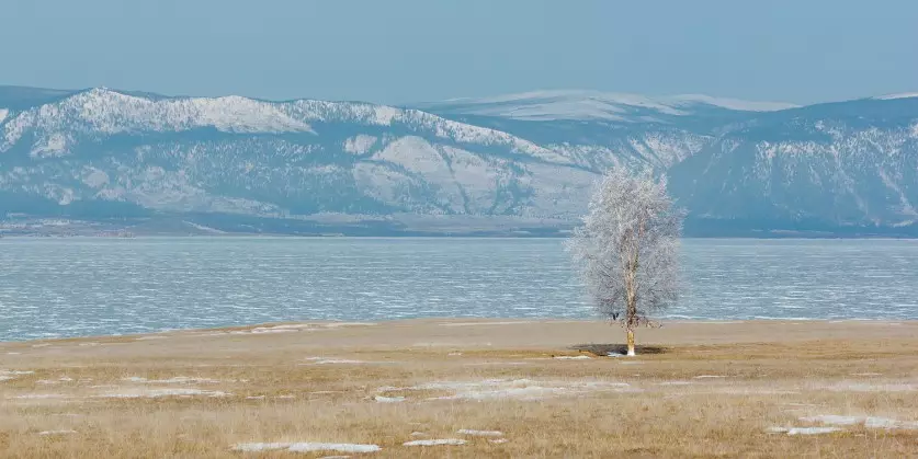 Nel regno del ghiaccio del Baikal ... Fotografo Dmitry Pitenin 10743_3