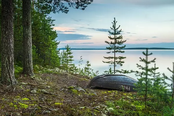 Karelian Taiga in Irina White Irina Lens 10770_12