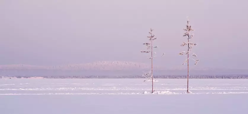 Karelian Taiga í Irina White Irina Lens 10770_2