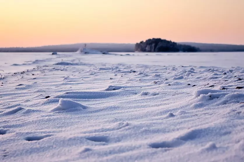 Karelian taiga sa Irina White Irina Lens 10770_5