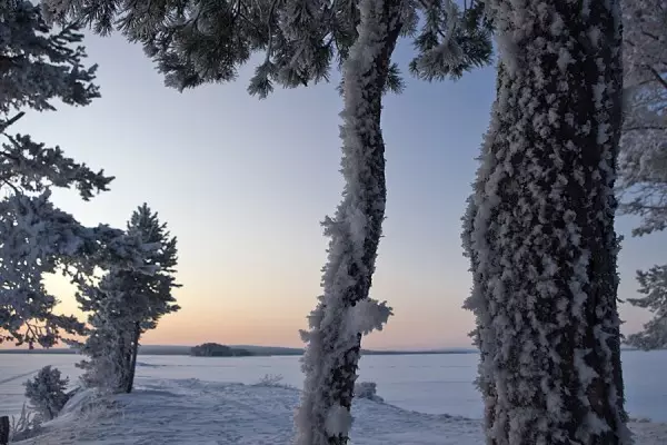 Karelian taiga nan Irina White Irina Lens 10770_7