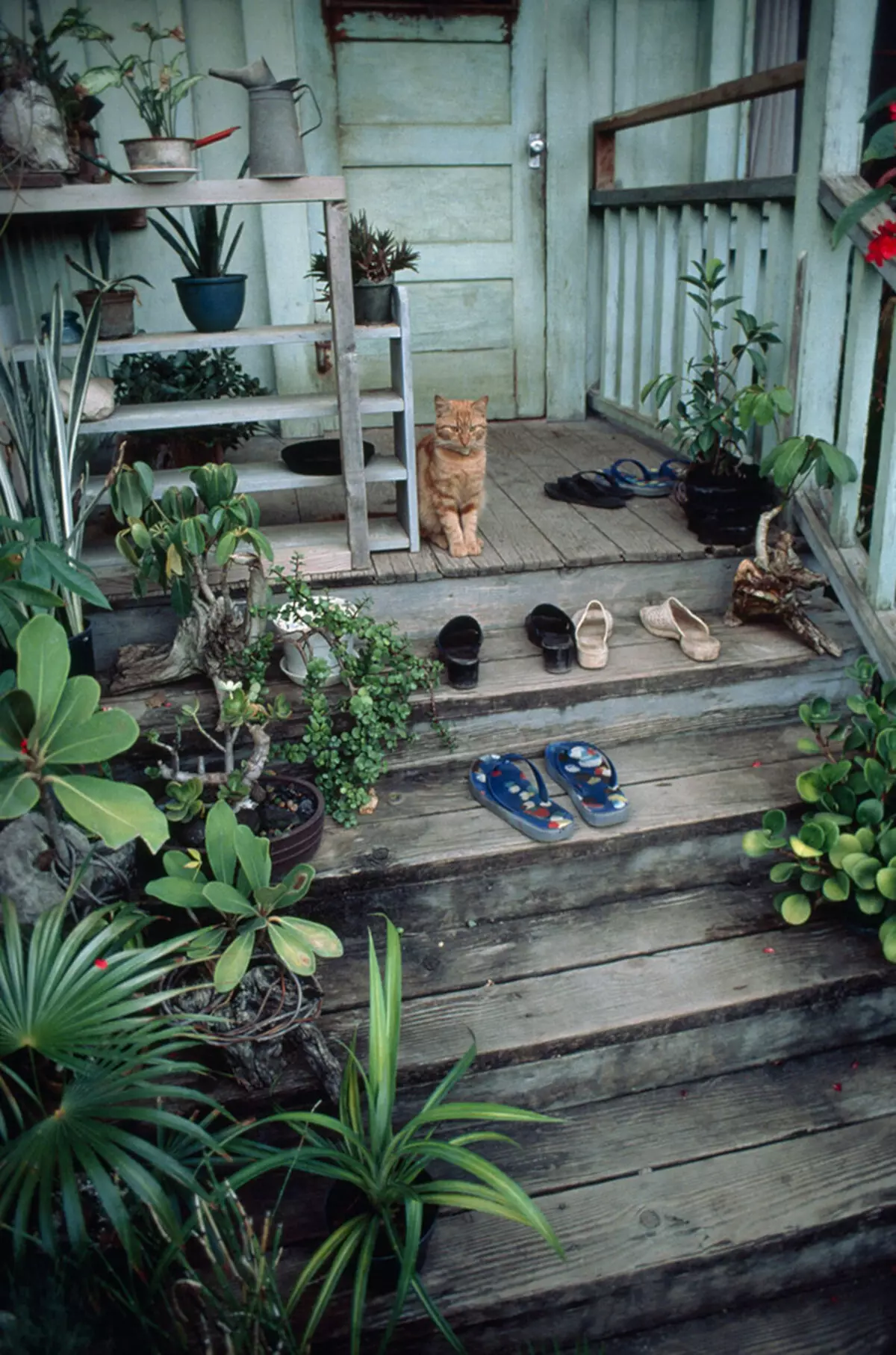 29. A escaleira de perda conduce á casa na costa norte de Oahu Island. Hawaii, novembro de 1979 National Geographic, History, Nature, Photography