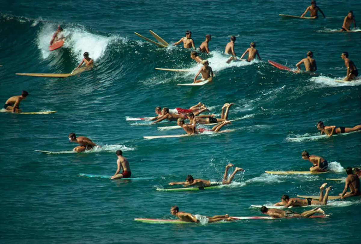 74. Multnombraj surfistoj kaptitaj ondoj sur Bondi-strando. Aŭstralio, 1963 Nacia Geografia, Historio, Naturo, Fotografio