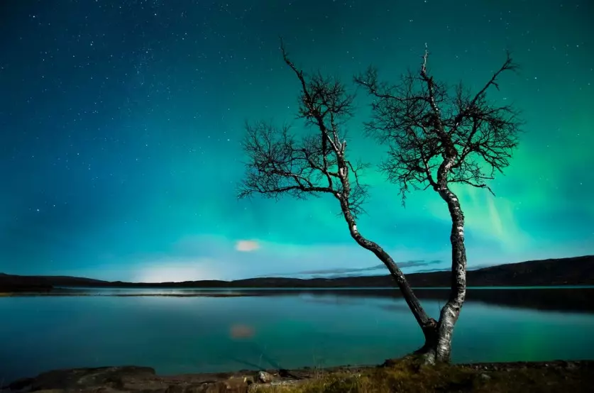 North Night ... Norway Tommy Eliassen (Tommy Eliassen) 10870_11