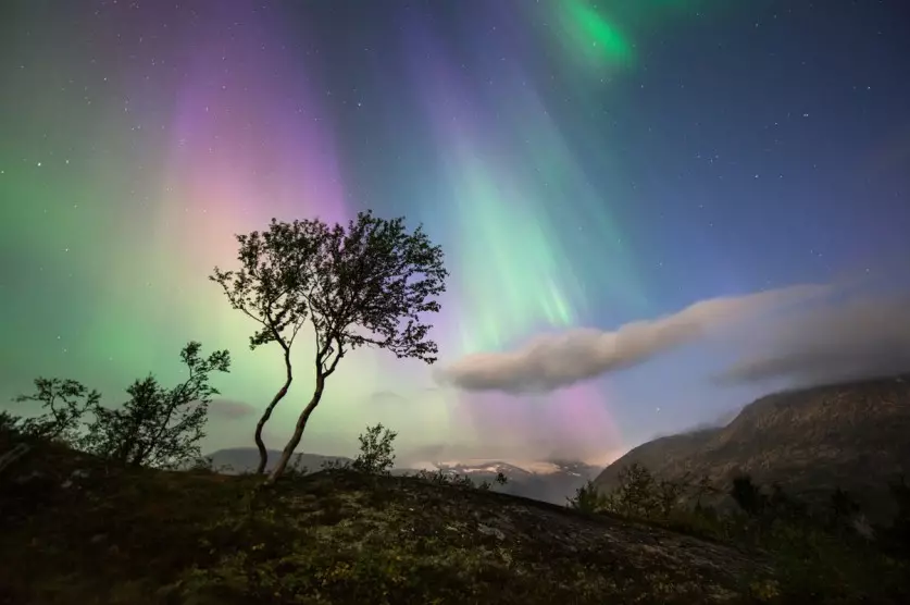 North Night ... Norway Tommy Eliassen (Tommy Eliassen) 10870_5