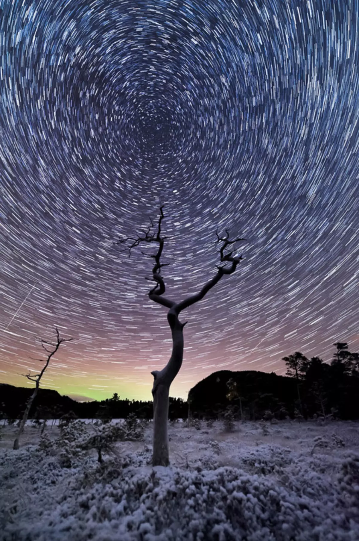 شىمالىي كېچىچە ... نورۋېگىيە تومى ئېلئاسسا (Tommy Eliassen) 10870_9